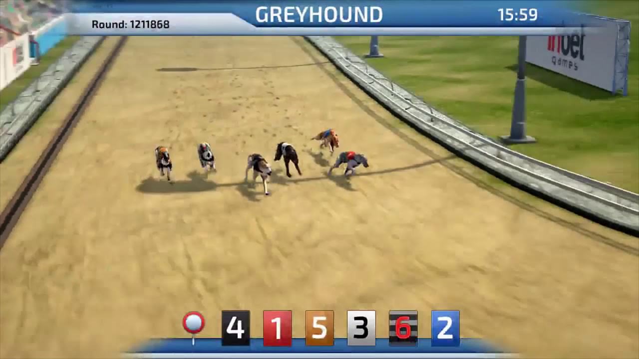 Greyhound Racing - Site de Games